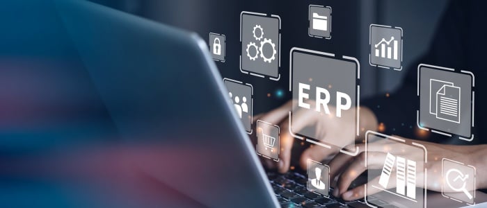 The Process of Choosing, Implementing, and Successfully Using an ERP ...