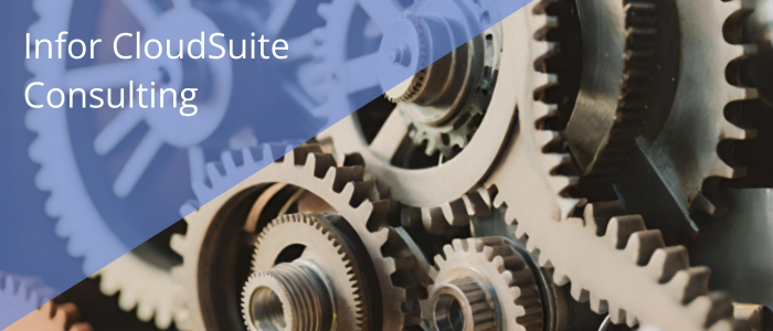 Infor CloudSuite Industrial (Syteline) ERP Consulting: Types of ...